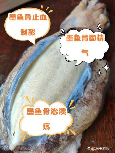 墨鱼的功效与作用及禁忌_墨鱼什么人不能吃-第3张图片-山城妙识 墨鱼的功效与作用及禁忌_墨鱼什么人不能吃-第3张图片-山城妙识