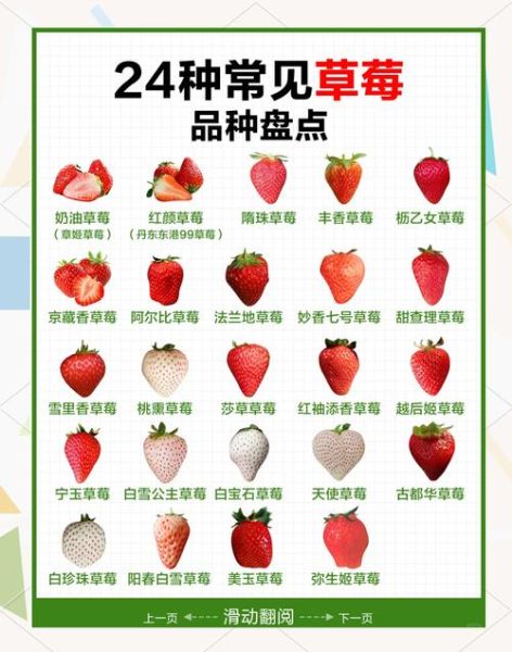 草莓的功效与作用_草莓吃多了会上火吗-第1张图片-山城妙识 草莓的功效与作用_草莓吃多了会上火吗-第1张图片-山城妙识