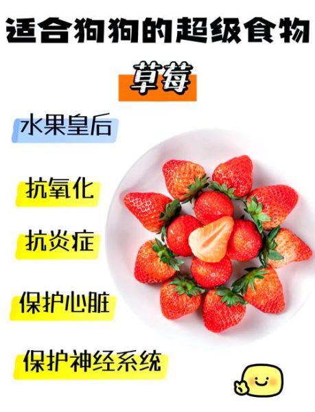 草莓的功效与作用_草莓吃多了会上火吗-第2张图片-山城妙识 草莓的功效与作用_草莓吃多了会上火吗-第2张图片-山城妙识