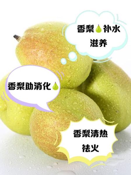 香梨的功效与作用_香梨的禁忌人群有哪些-第2张图片-山城妙识 香梨的功效与作用_香梨的禁忌人群有哪些-第2张图片-山城妙识