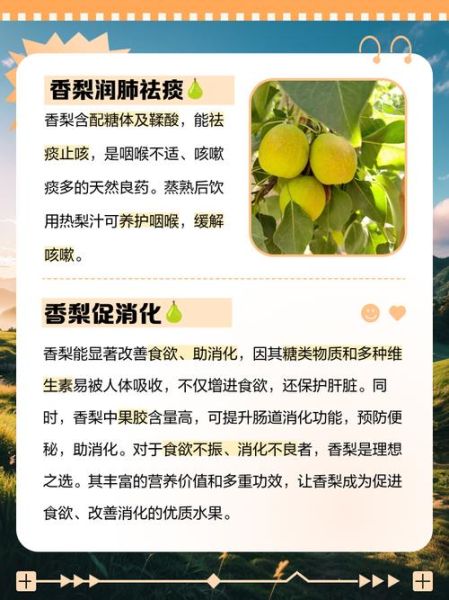 香梨的功效与作用_香梨的禁忌人群有哪些-第3张图片-山城妙识 香梨的功效与作用_香梨的禁忌人群有哪些-第3张图片-山城妙识