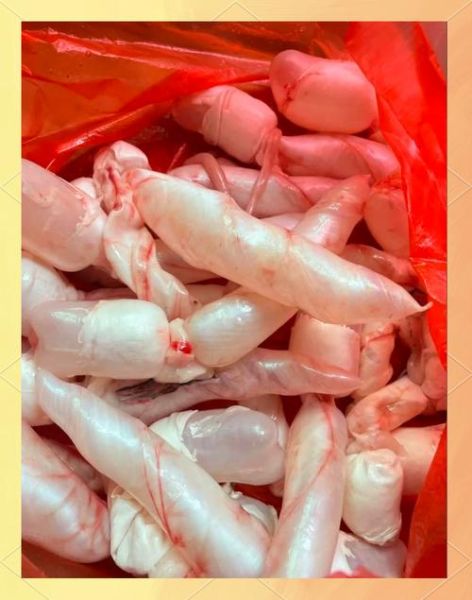 鱼胶是什么部位_鱼胶和鱼鳔有什么区别-第2张图片-山城妙识 鱼胶是什么部位_鱼胶和鱼鳔有什么区别-第2张图片-山城妙识