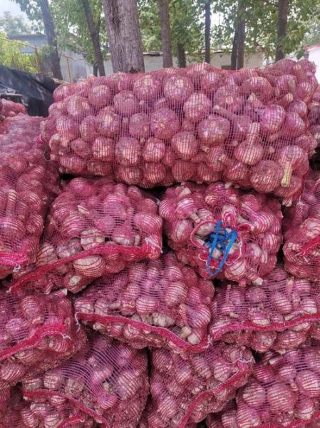 蒜片价格最新行情_2024年蒜片多少钱一斤-第3张图片-山城妙识 蒜片价格最新行情_2024年蒜片多少钱一斤-第3张图片-山城妙识