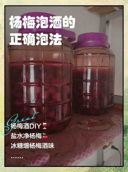 杨梅酒泡多久_杨梅酒泡制时间-第2张图片-山城妙识 杨梅酒泡多久_杨梅酒泡制时间-第2张图片-山城妙识