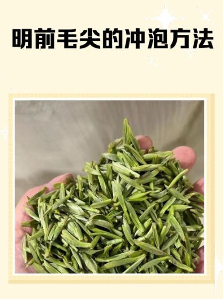 毛尖茶怎么泡_毛尖茶泡多久最好-第2张图片-山城妙识 毛尖茶怎么泡_毛尖茶泡多久最好-第2张图片-山城妙识