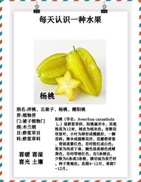 小孩为什么不能吃杨桃_杨桃中毒症状-第2张图片-山城妙识 小孩为什么不能吃杨桃_杨桃中毒症状-第2张图片-山城妙识