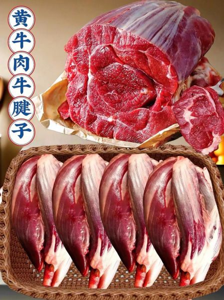 牛腱子肉是哪个部位图解_牛腱子肉前腿还是后腿-第2张图片-山城妙识 牛腱子肉是哪个部位图解_牛腱子肉前腿还是后腿-第2张图片-山城妙识