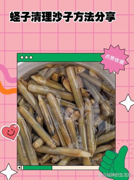 蛏子怎么做_蛏子怎么清洗才干净-第2张图片-山城妙识 蛏子怎么做_蛏子怎么清洗才干净-第2张图片-山城妙识