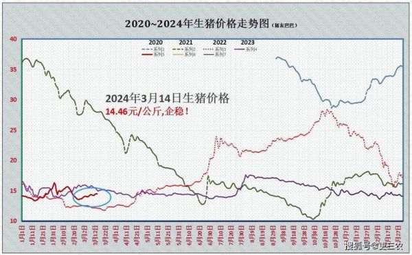 猪肉股票还会涨吗_2024年猪价走势预测-第1张图片-山城妙识 猪肉股票还会涨吗_2024年猪价走势预测-第1张图片-山城妙识