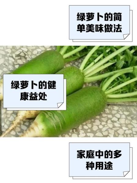 绿萝卜的功效与作用_绿萝卜怎么吃最健康-第2张图片-山城妙识 绿萝卜的功效与作用_绿萝卜怎么吃最健康-第2张图片-山城妙识