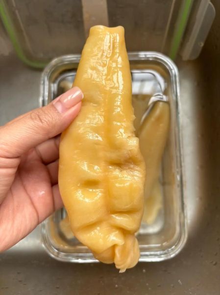 花胶怎么吃效果最好_花胶泡发多久最合适-第2张图片-山城妙识 花胶怎么吃效果最好_花胶泡发多久最合适-第2张图片-山城妙识