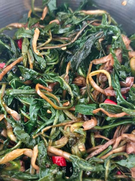 蒲公英怎么吃_蒲公英的食用方法-第2张图片-山城妙识 蒲公英怎么吃_蒲公英的食用方法-第2张图片-山城妙识