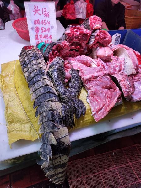 鳄鱼肉有寄生虫吗_鳄鱼肉寄生虫风险-第2张图片-山城妙识