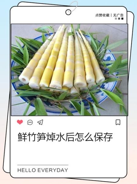 新鲜竹笋怎么处理_竹笋去涩味的正确方法-第2张图片-山城妙识 新鲜竹笋怎么处理_竹笋去涩味的正确方法-第2张图片-山城妙识