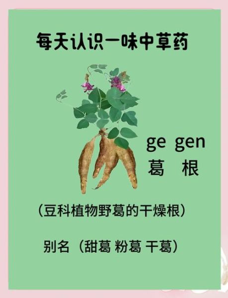 葛根壮阳是真的吗_男人吃葛根能提高性功能吗-第1张图片-山城妙识