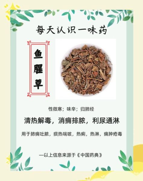 鱼腥草副作用有哪些_鱼腥草禁忌人群-第1张图片-山城妙识 鱼腥草副作用有哪些_鱼腥草禁忌人群-第1张图片-山城妙识