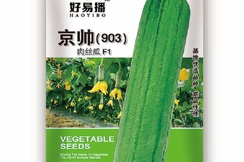 丝瓜影院在线观看安全吗_丝瓜影院最新地址怎么找-第2张图片-山城妙识 丝瓜影院在线观看安全吗_丝瓜影院最新地址怎么找-第2张图片-山城妙识