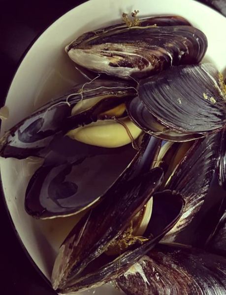 淡菜干哪个部位不能吃_图解去内脏步骤-第3张图片-山城妙识 淡菜干哪个部位不能吃_图解去内脏步骤-第3张图片-山城妙识