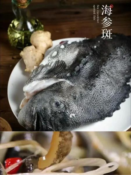 海参斑是什么鱼_海参斑怎么做好吃-第2张图片-山城妙识 海参斑是什么鱼_海参斑怎么做好吃-第2张图片-山城妙识