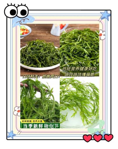 鞭笋的功效与作用_鞭笋怎么吃最营养-第3张图片-山城妙识