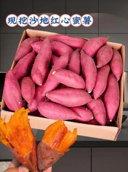 红薯图片大全可爱图片_如何挑选萌系红薯素材-第1张图片-山城妙识