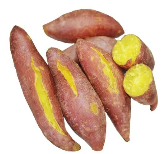 红薯图片大全可爱图片_如何挑选萌系红薯素材-第2张图片-山城妙识