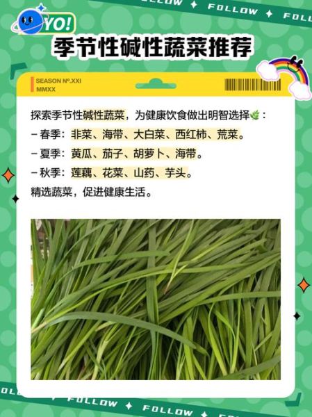 哪些蔬菜是碱性的_碱性蔬菜有哪些-第2张图片-山城妙识 哪些蔬菜是碱性的_碱性蔬菜有哪些-第2张图片-山城妙识