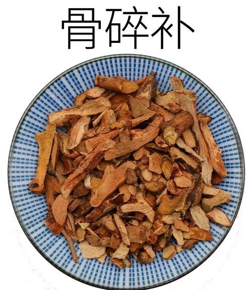 骨碎补的功效与作用_骨碎补主治哪些病-第2张图片-山城妙识 骨碎补的功效与作用_骨碎补主治哪些病-第2张图片-山城妙识
