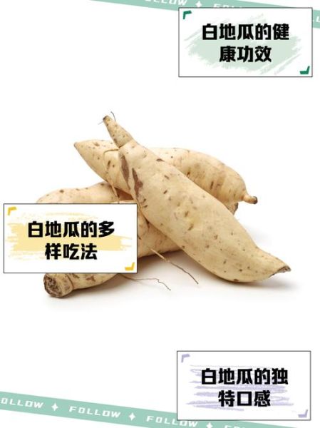 白地瓜怎么做好吃又简单_白地瓜的家常做法-第1张图片-山城妙识 白地瓜怎么做好吃又简单_白地瓜的家常做法-第1张图片-山城妙识