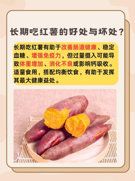 大薯的功效与作用禁忌_大薯什么人不能吃-第3张图片-山城妙识 大薯的功效与作用禁忌_大薯什么人不能吃-第3张图片-山城妙识