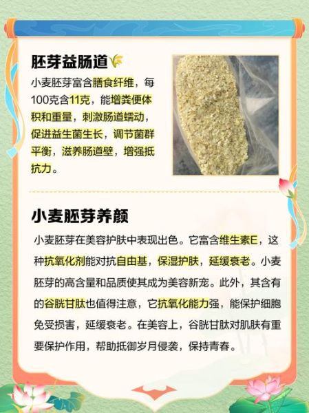 长期吃小麦胚芽的危害_小麦胚芽吃多了会怎样-第3张图片-山城妙识 长期吃小麦胚芽的危害_小麦胚芽吃多了会怎样-第3张图片-山城妙识