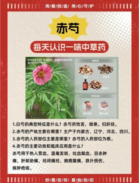 赤芍的功效与作用_赤芍与白芍的区别-第1张图片-山城妙识 赤芍的功效与作用_赤芍与白芍的区别-第1张图片-山城妙识