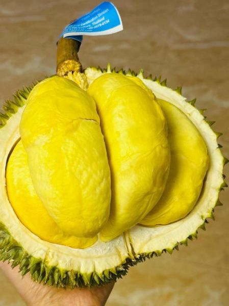 什么水果吃了通便最好_便秘最怕的三种水果-第2张图片-山城妙识 什么水果吃了通便最好_便秘最怕的三种水果-第2张图片-山城妙识