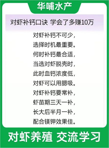 养淡水虾需要什么条件_淡水虾养殖技术要点-第1张图片-山城妙识 养淡水虾需要什么条件_淡水虾养殖技术要点-第1张图片-山城妙识