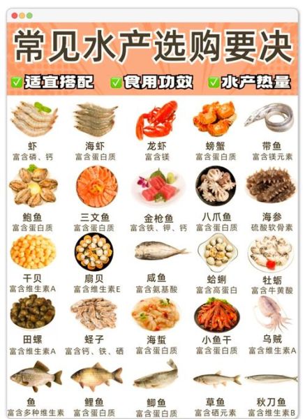 海鲜怎么保存才新鲜_海鲜有哪些常见种类-第2张图片-山城妙识 海鲜怎么保存才新鲜_海鲜有哪些常见种类-第2张图片-山城妙识