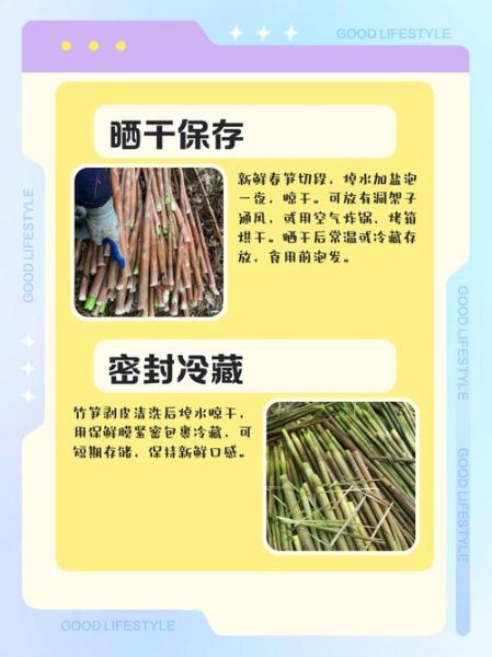 竹笋怎么保存一年_竹笋长期保存方法-第1张图片-山城妙识 竹笋怎么保存一年_竹笋长期保存方法-第1张图片-山城妙识