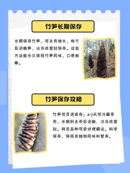 竹笋怎么保存一年_竹笋长期保存方法-第3张图片-山城妙识 竹笋怎么保存一年_竹笋长期保存方法-第3张图片-山城妙识