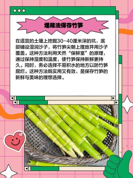 竹笋怎么保存一年_竹笋长期保存方法-第2张图片-山城妙识 竹笋怎么保存一年_竹笋长期保存方法-第2张图片-山城妙识