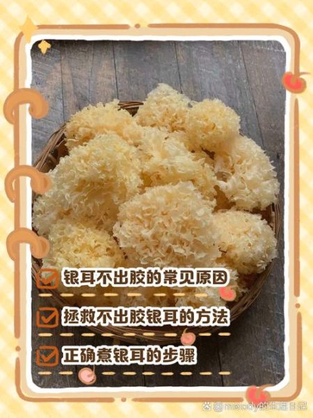 银耳为什么不能隔水炖_隔水炖银耳会出胶失败吗-第1张图片-山城妙识 银耳为什么不能隔水炖_隔水炖银耳会出胶失败吗-第1张图片-山城妙识