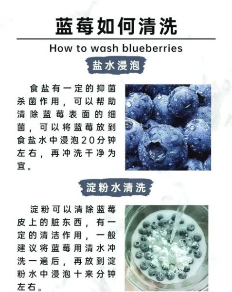 蓝莓汁弄衣服上怎么洗_蓝莓汁渍去除方法-第1张图片-山城妙识 蓝莓汁弄衣服上怎么洗_蓝莓汁渍去除方法-第1张图片-山城妙识