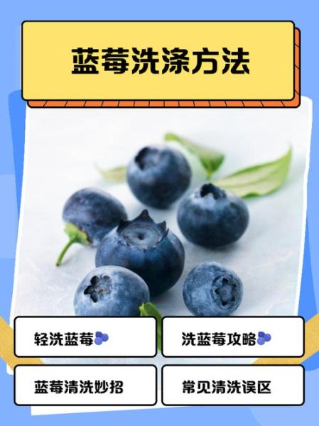 蓝莓汁弄衣服上怎么洗_蓝莓汁渍去除方法-第2张图片-山城妙识 蓝莓汁弄衣服上怎么洗_蓝莓汁渍去除方法-第2张图片-山城妙识