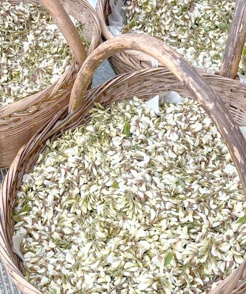 白色洋槐花能吃吗_白色洋槐花怎么吃-第1张图片-山城妙识 白色洋槐花能吃吗_白色洋槐花怎么吃-第1张图片-山城妙识