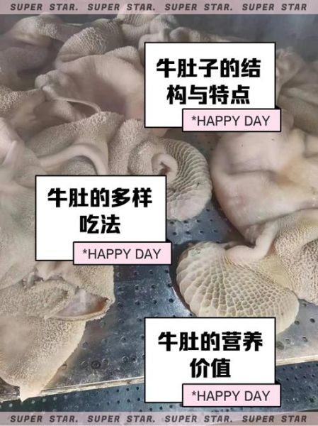 毛肚是哪个部位_毛肚和牛肚的区别-第1张图片-山城妙识 毛肚是哪个部位_毛肚和牛肚的区别-第1张图片-山城妙识