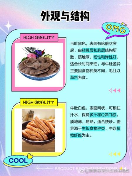 毛肚是哪个部位_毛肚和牛肚的区别-第2张图片-山城妙识 毛肚是哪个部位_毛肚和牛肚的区别-第2张图片-山城妙识