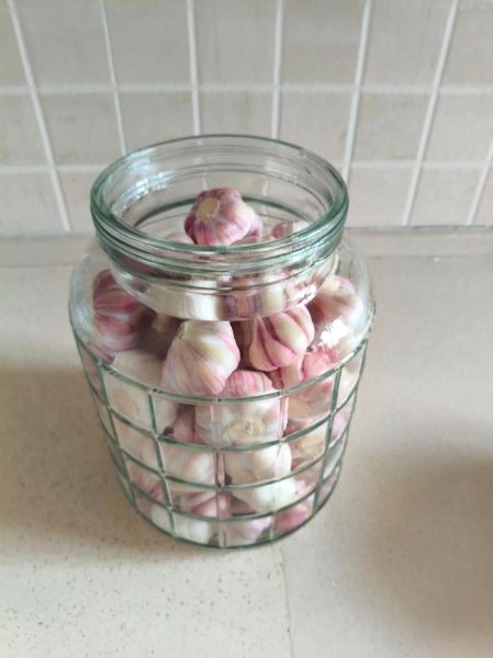 用盐直接腌制大蒜的正确方法_大蒜怎么腌制不辣不苦-第3张图片-山城妙识 用盐直接腌制大蒜的正确方法_大蒜怎么腌制不辣不苦-第3张图片-山城妙识