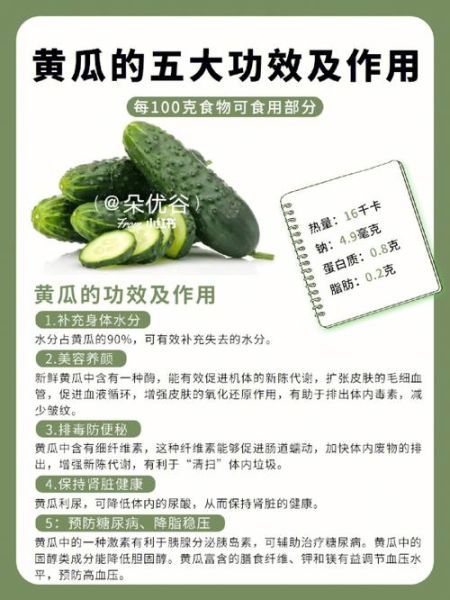 黄瓜的功效与作用及副作用_吃黄瓜的禁忌有哪些-第1张图片-山城妙识 黄瓜的功效与作用及副作用_吃黄瓜的禁忌有哪些-第1张图片-山城妙识