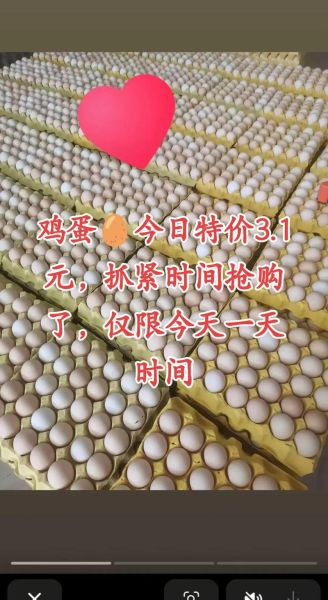 鸡蛋价格今日多少钱一斤_鸡蛋价格行情还会涨吗-第2张图片-山城妙识 鸡蛋价格今日多少钱一斤_鸡蛋价格行情还会涨吗-第2张图片-山城妙识