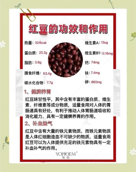红豆的功效与作用是什么_红豆怎么吃最养人-第1张图片-山城妙识 红豆的功效与作用是什么_红豆怎么吃最养人-第1张图片-山城妙识