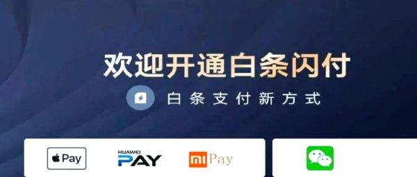白条支付是什么意思_白条支付怎么用-第2张图片-山城妙识 白条支付是什么意思_白条支付怎么用-第2张图片-山城妙识