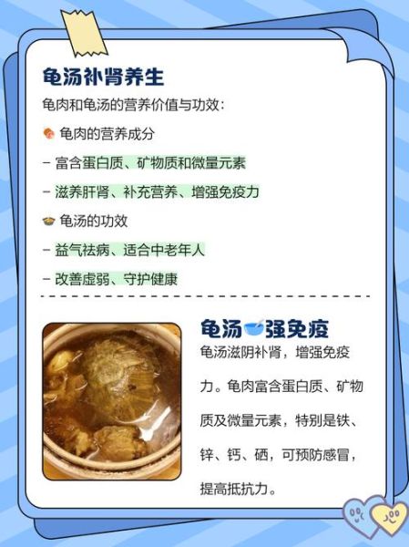 乌龟炖汤的做法大全_乌龟汤怎么炖最补-第1张图片-山城妙识 乌龟炖汤的做法大全_乌龟汤怎么炖最补-第1张图片-山城妙识